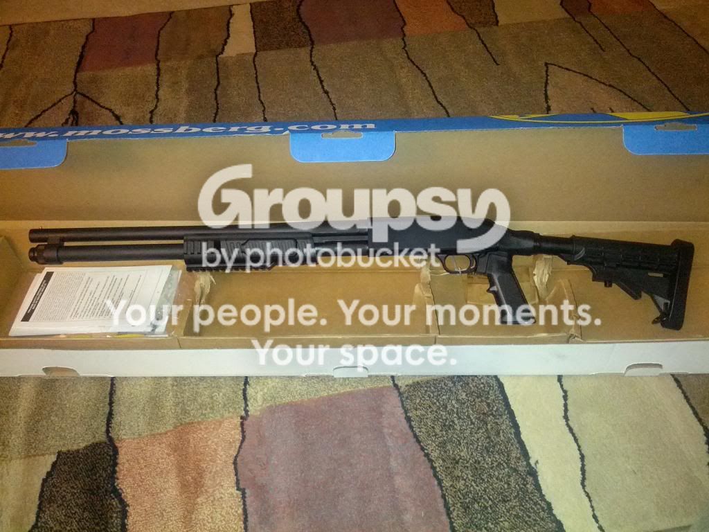 I'll show you mine if you show me yours! 590 photo thread! | Page 45 ...