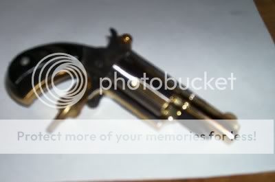 Gold NAA .22 mag Super Companion | Survivalist Forum