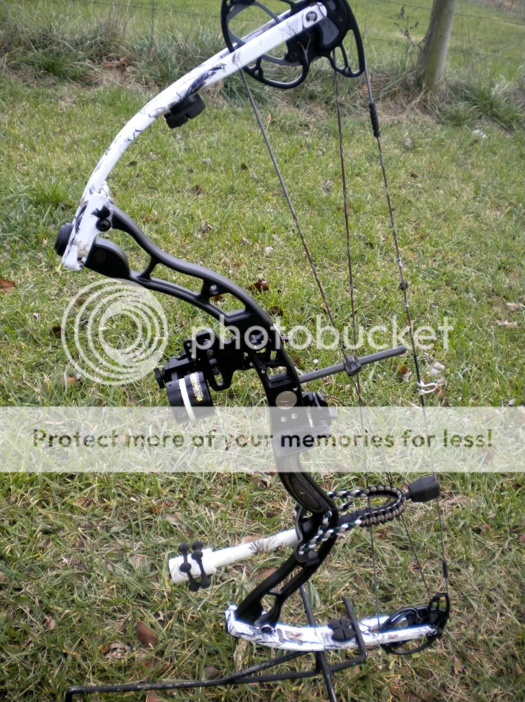 lets see your Elite bows. | Archery Talk Forum
